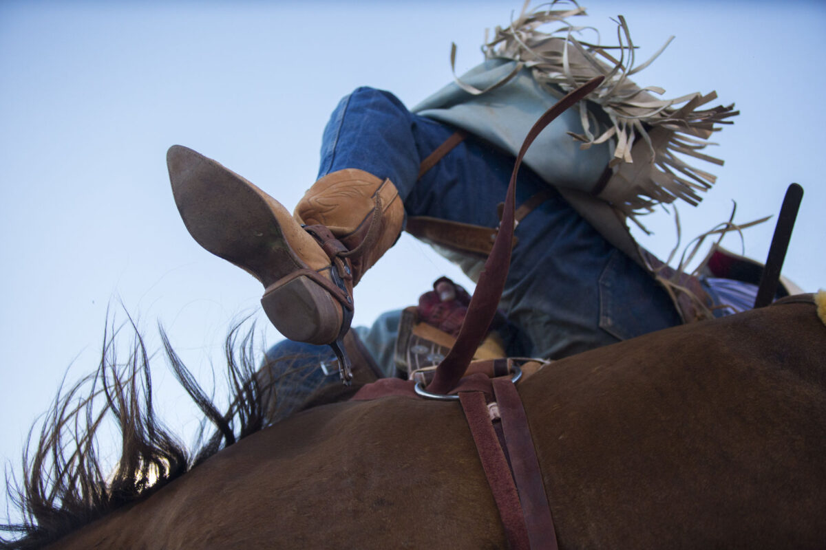 Here’s what you need to know to watch the Ogden Pioneer Days rodeo ...